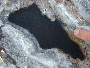 Antarctica: Life in Antarctica